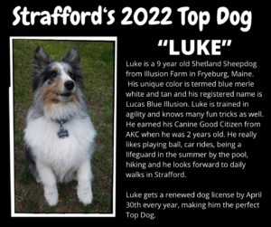 Dog License Information | Town of Strafford NH